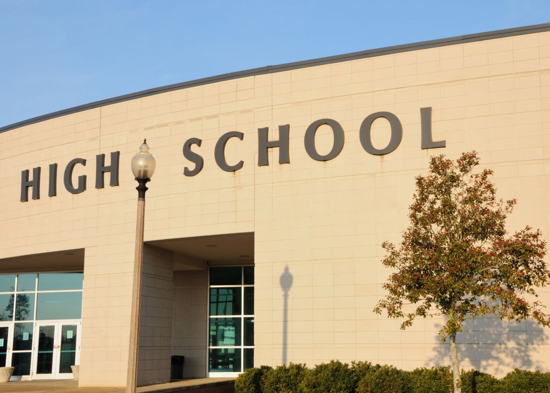 019. High School Core Subjects and Electives - BTDT Homeschool