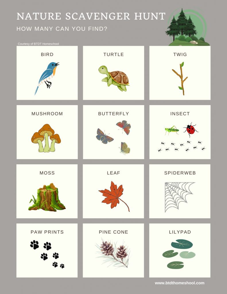 FREE Nature Scavenger Hunt- BTDT Homeschool
