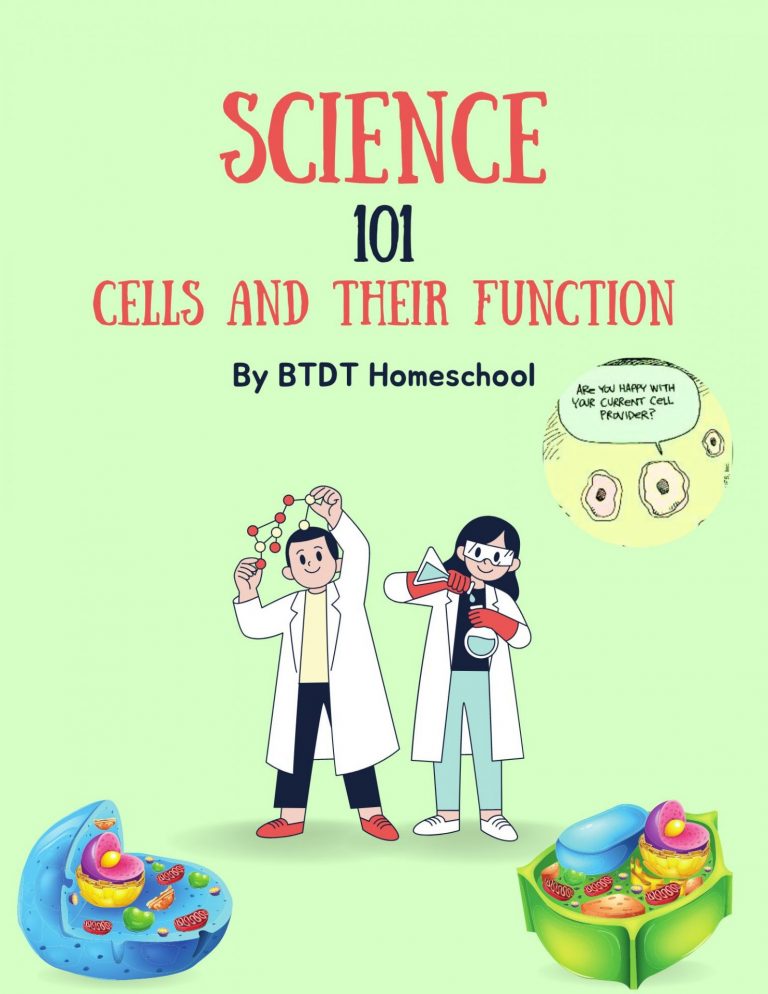 Making a Jell-O Cell in Your Homeschool