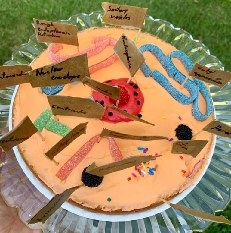 Making a Jell-O Cell in Your Homeschool