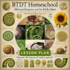 Free Unit Study: The Fibonacci Sequence Lesson Plan